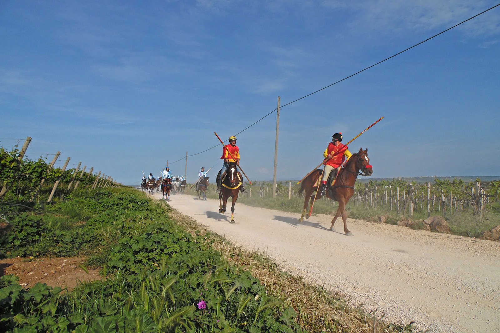 Carrese: la tradizionale corsa dei buoi | Turismo in Molise