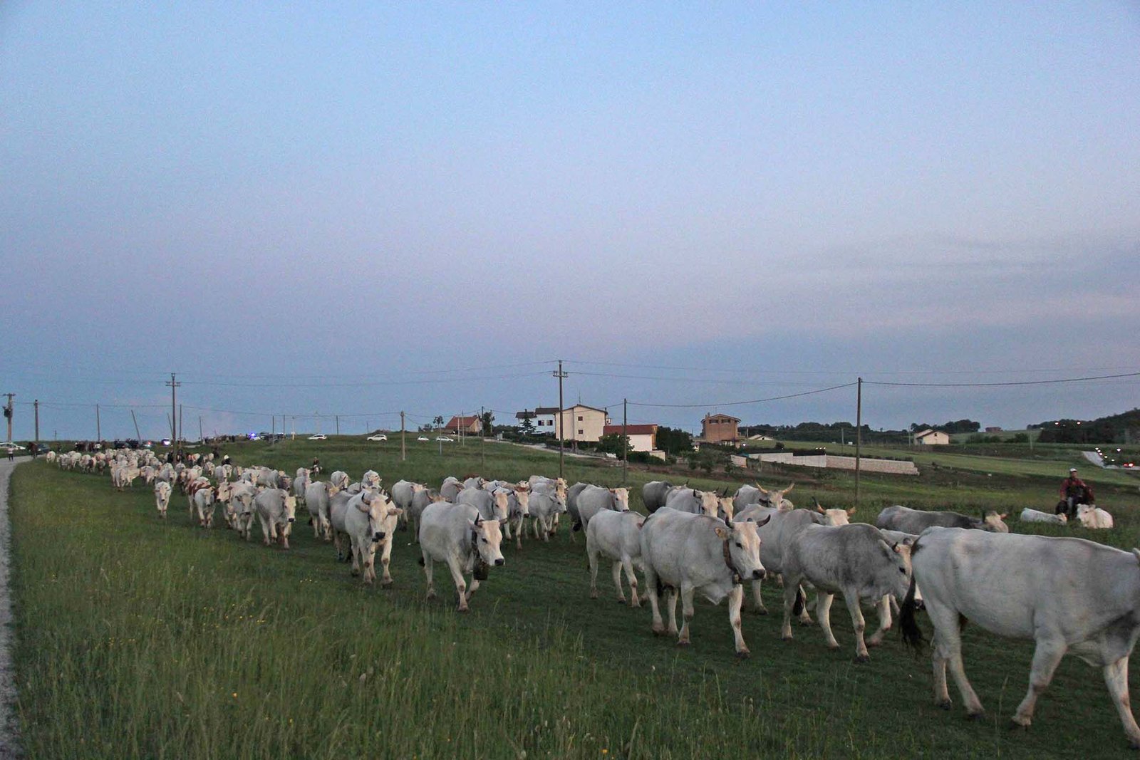 Ripalimosani, il paese dei funai | Turismo in Molise