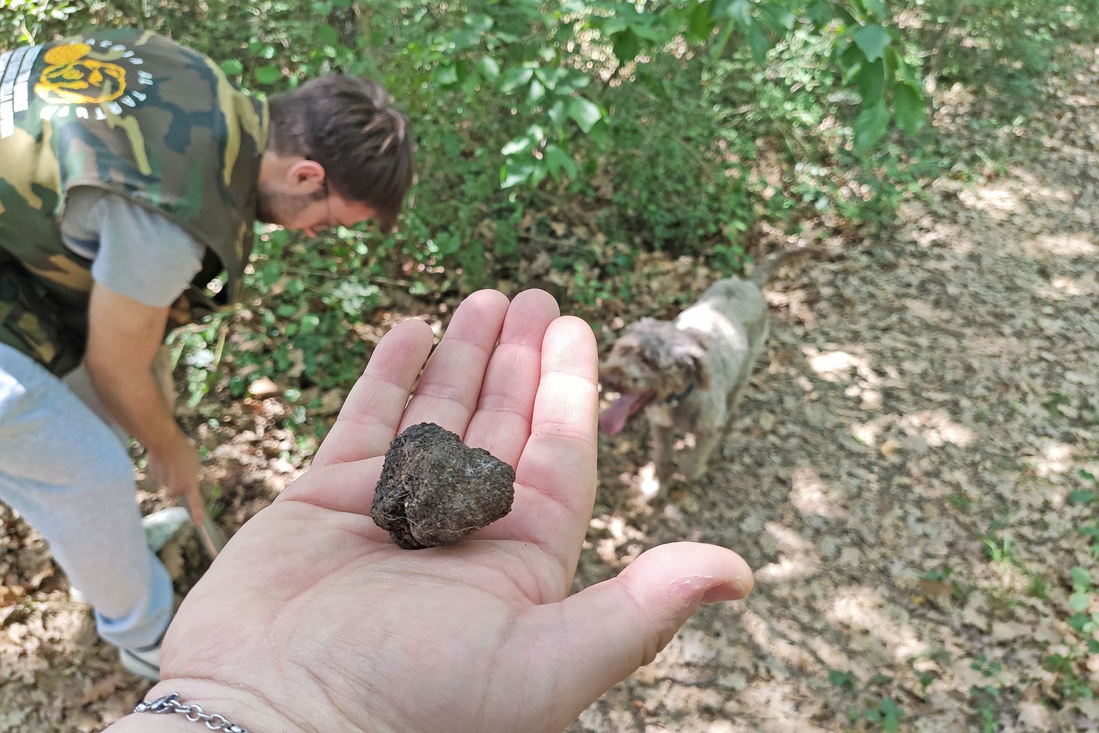 Truffle hunting in Molise, the land of truffles | Turismo in Molise